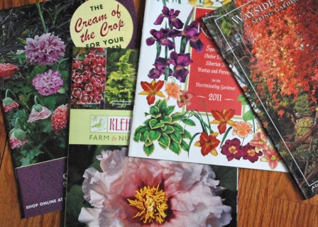 Navigating Garden Catalogs to Plan for the Season Ahead - Vermont Maturity