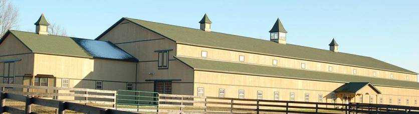Running Cedar Spring Farm More Than Horseplay - Vermont Maturity